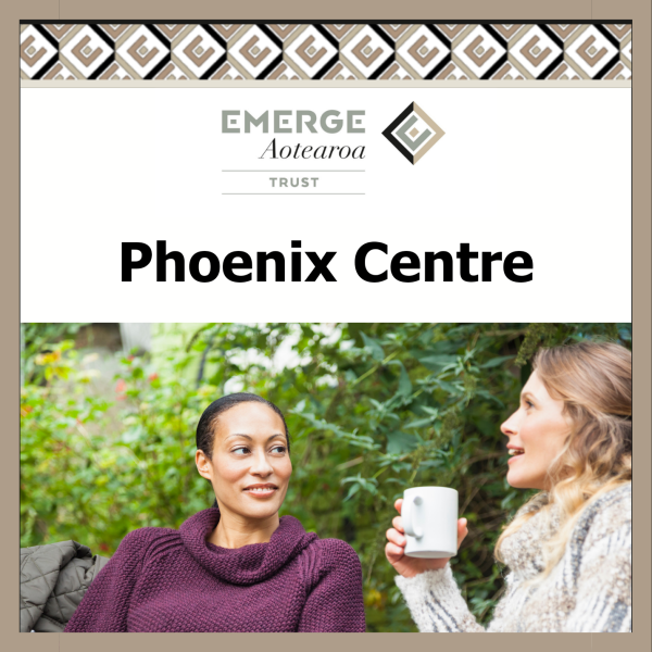 Phoenix Centre: Emerge Aotearoa » DRIVE Consumer Direction