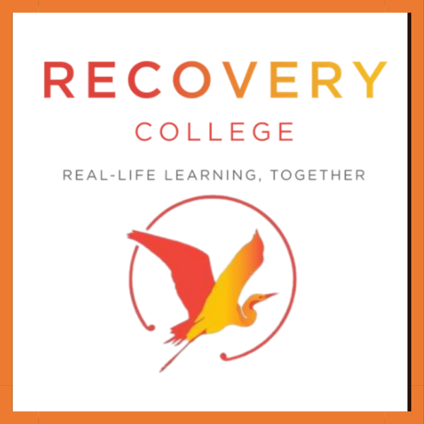 Recovery College NZ » DRIVE Consumer Direction