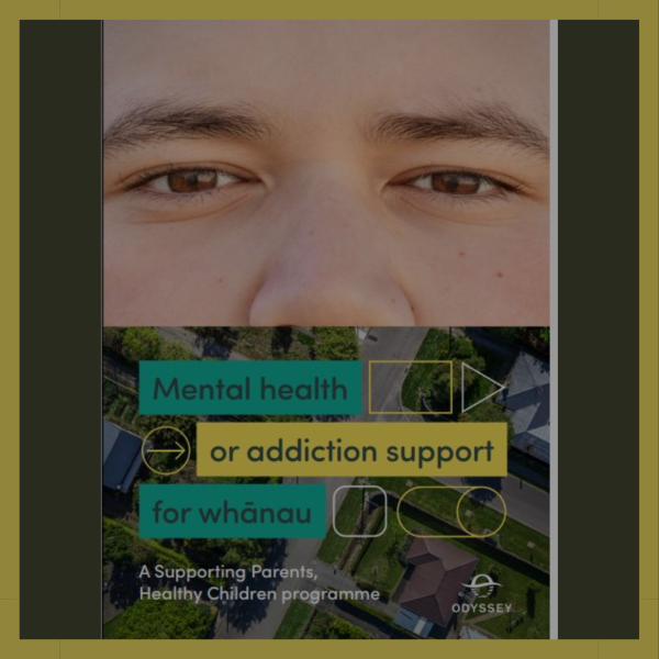 Te Puawai Aroha » DRIVE Consumer Direction